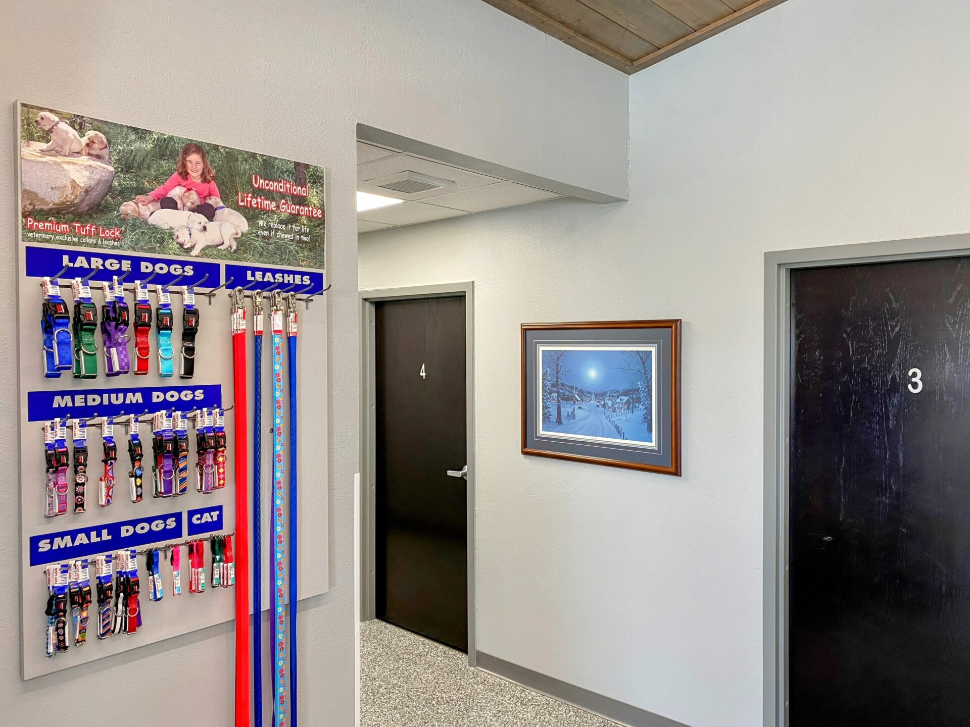 Clinic Tour Forest City Veterinary Clinic – Dedicated Vet Care in IA