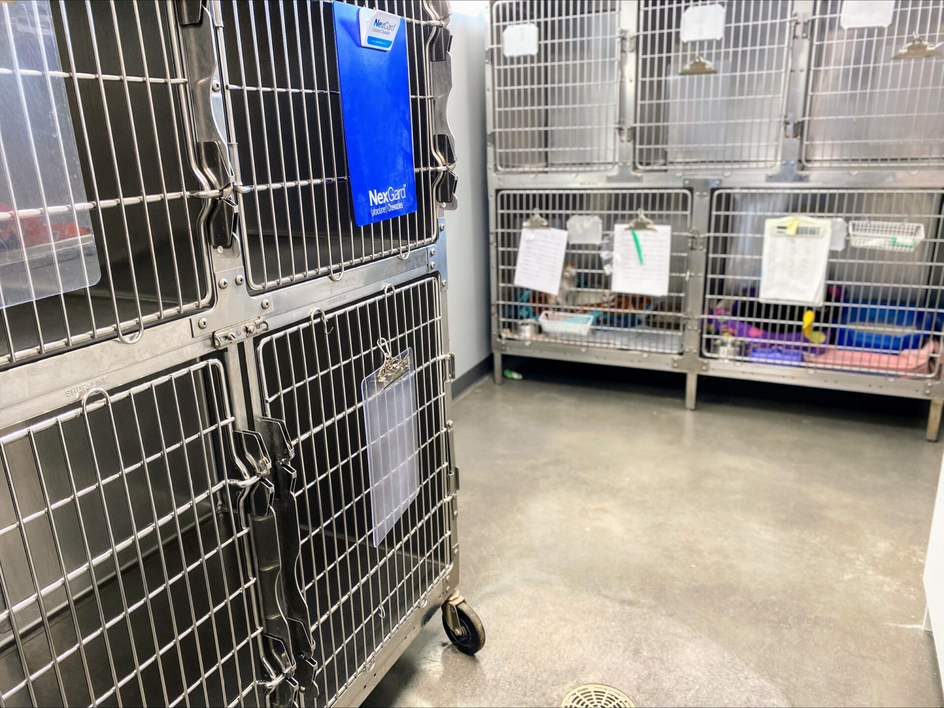 Clinic Tour Forest City Veterinary Clinic – Dedicated Vet Care in IA