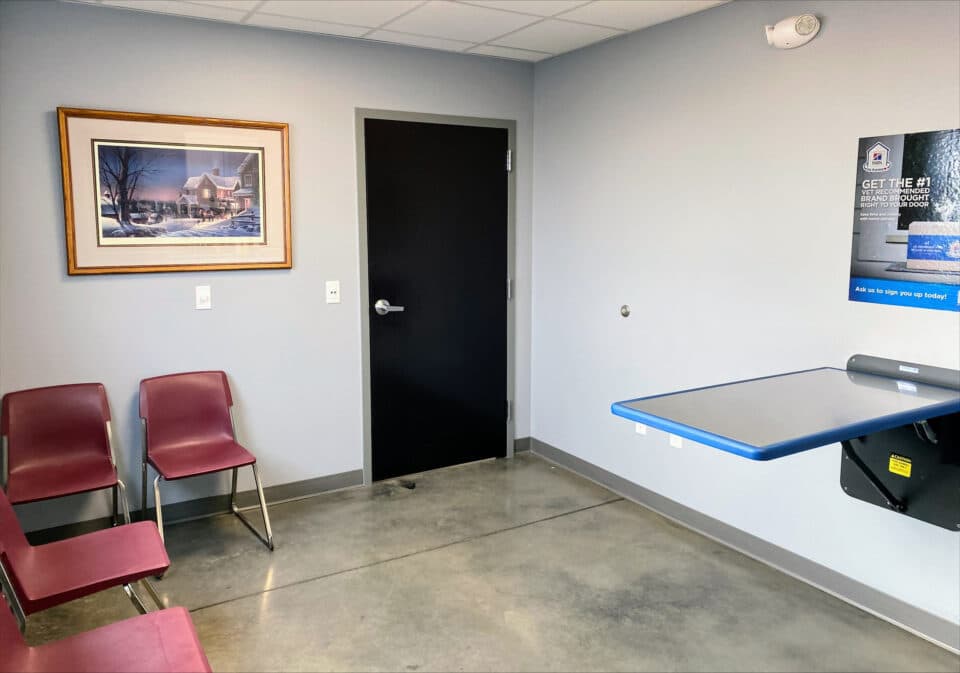 Clinic Tour Forest City Veterinary Clinic – Dedicated Vet Care in IA