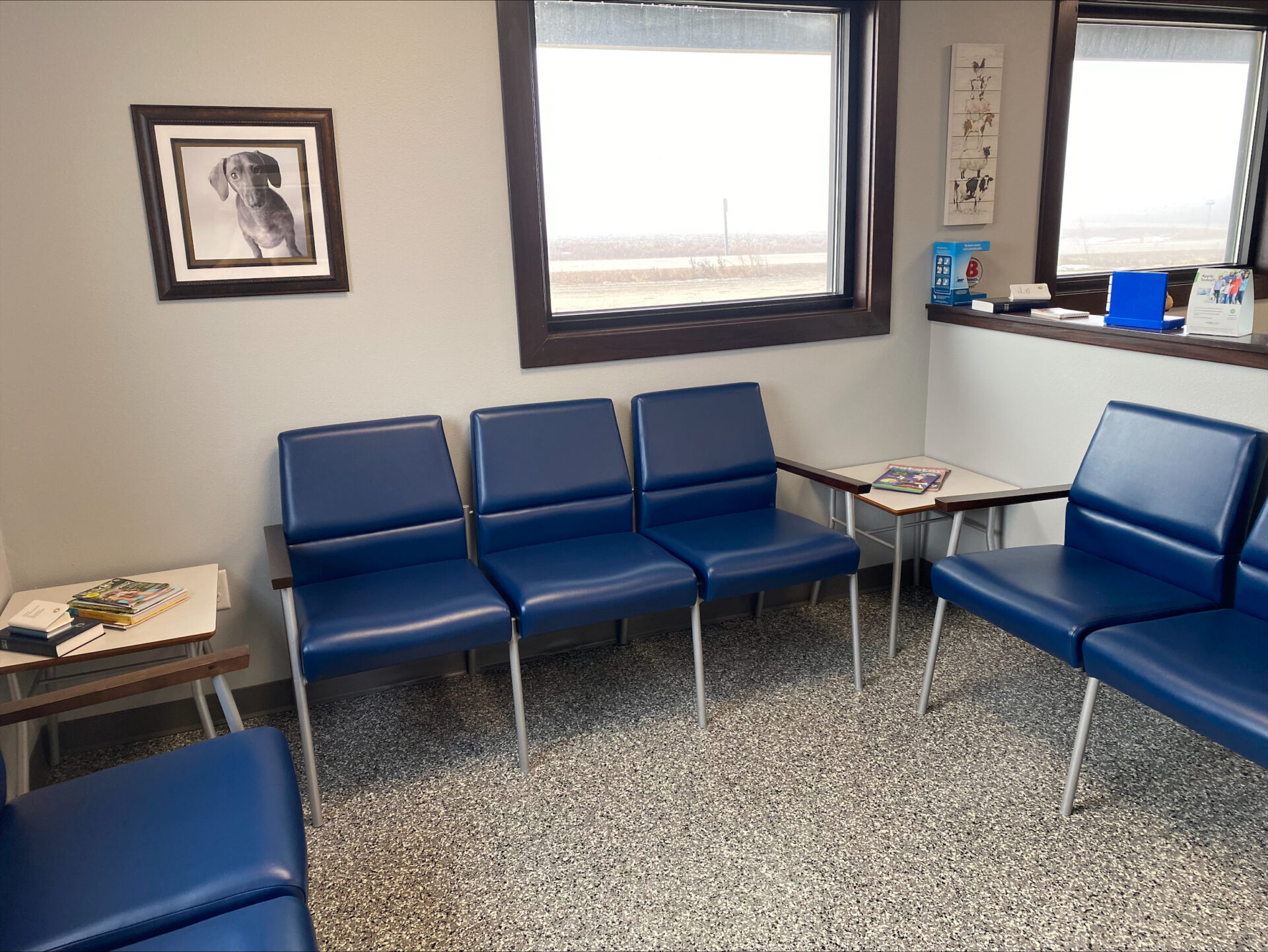 Clinic Tour Forest City Veterinary Clinic – Dedicated Vet Care in IA